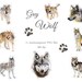 Grey Wolf Clipart, Animal Watercolor Clip Art, Wolves, Dogs, DIY ...