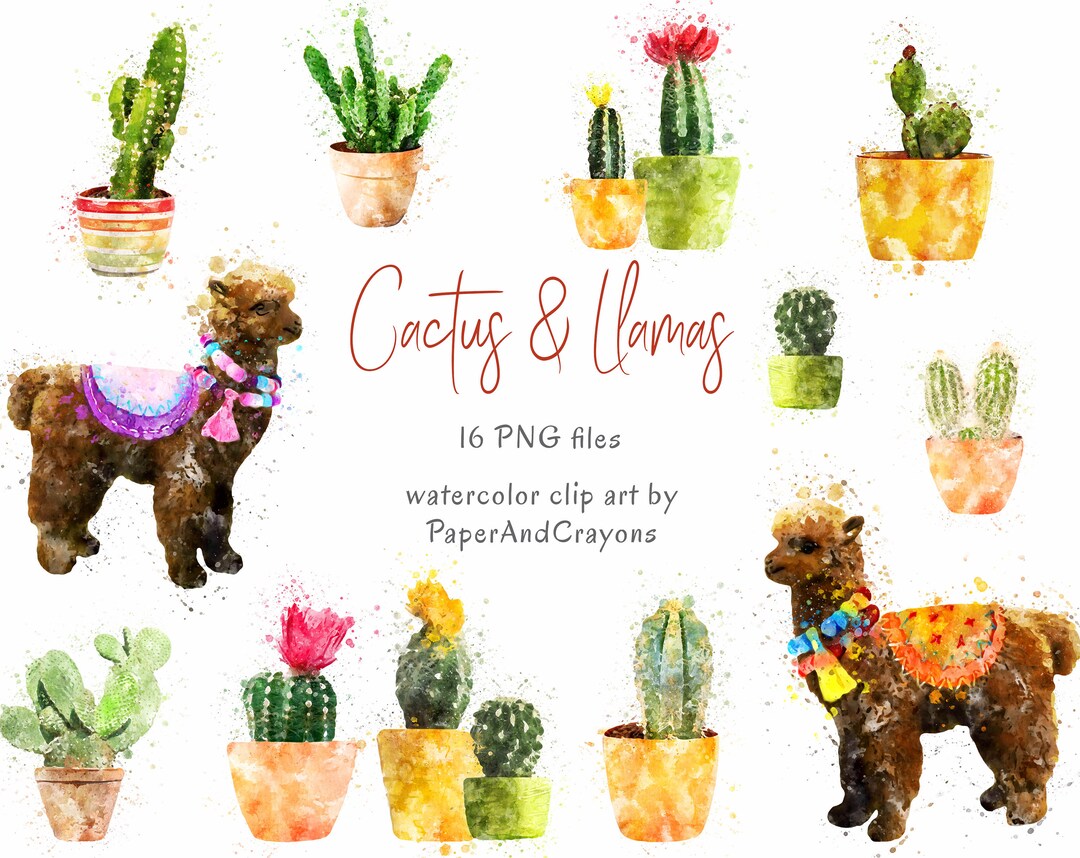 Watercolor Cactus & Llama Clipart Set, Succulent Clip Art, Animal ...