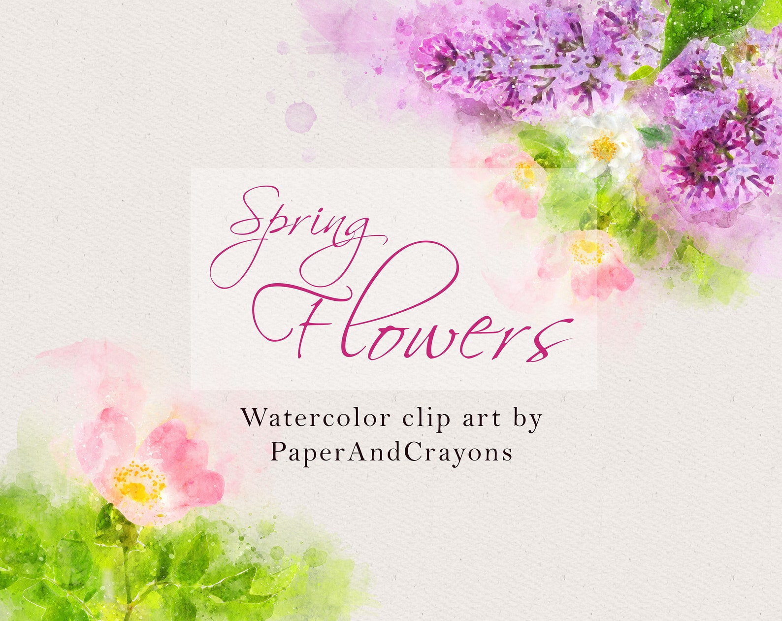Spring Flowers Clipart Watercolor Clip Art White Purple | Etsy