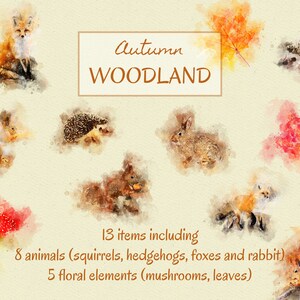 Autumn Woodland Animals, Watercolor Clipart, Fall Clip Art, Animal ...