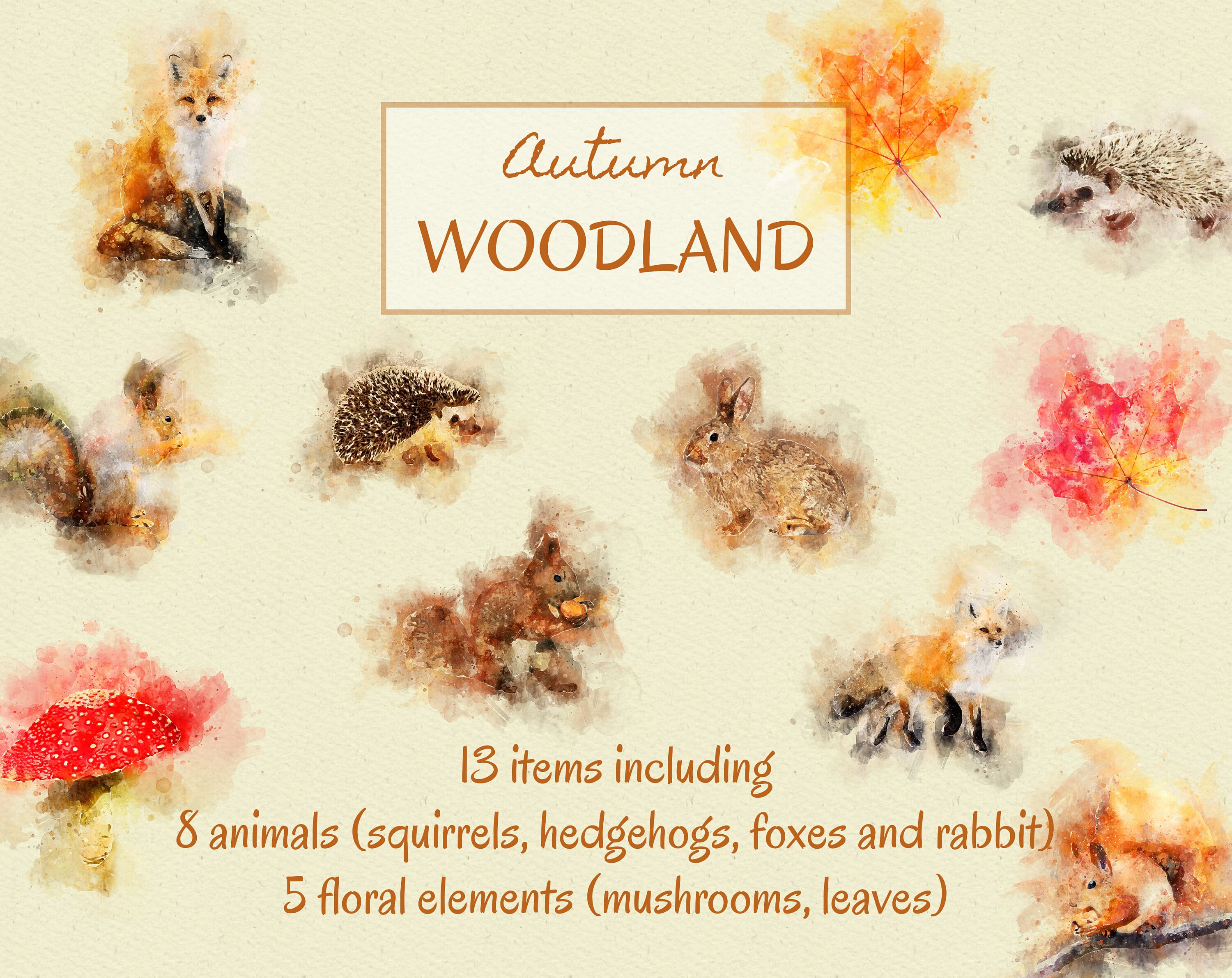Autumn Woodland Animals Watercolor Clipart Fall Clip Art - Etsy