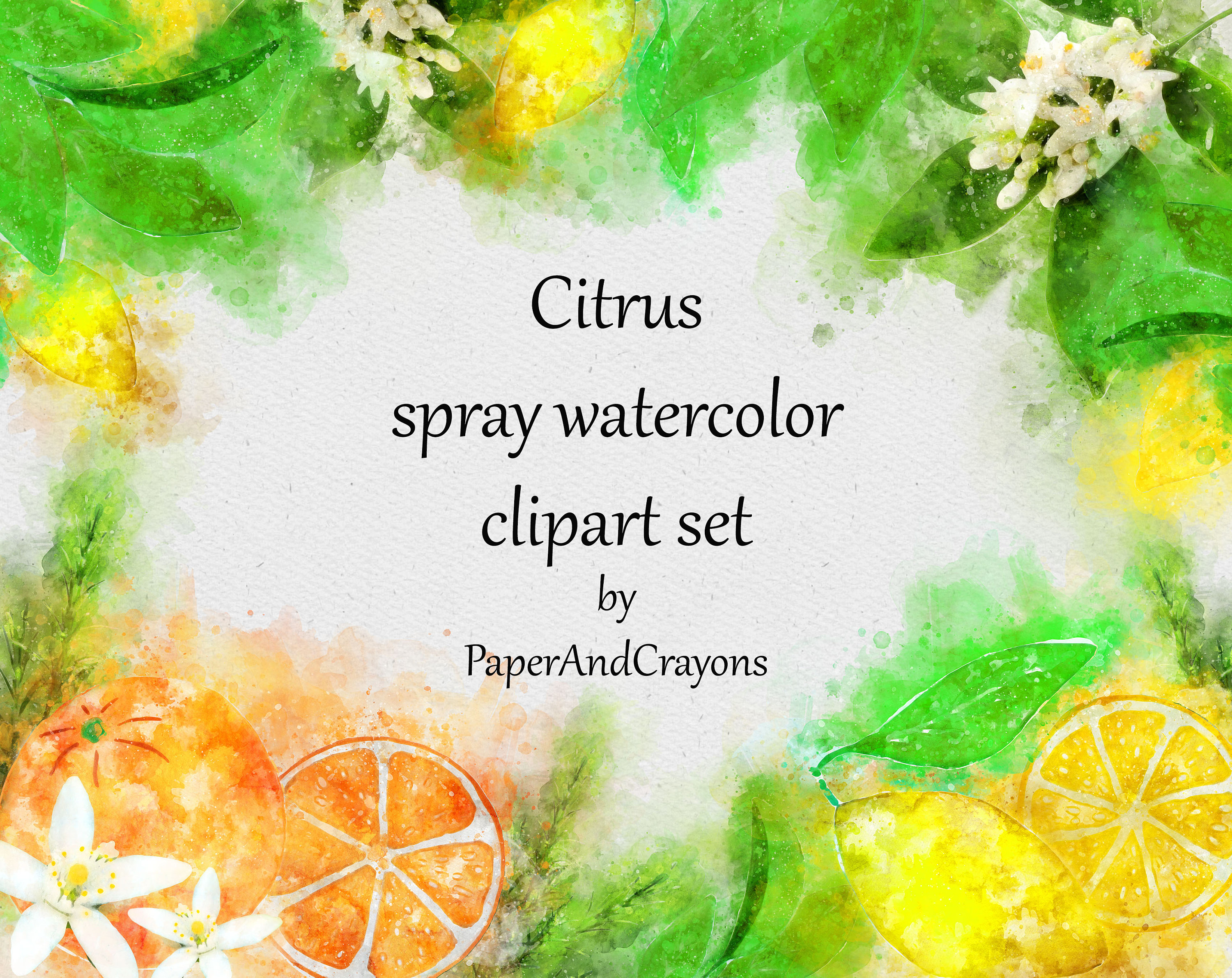 Citrus Watercolor Clipart Floral Watercolor Flower Clip Art - Etsy