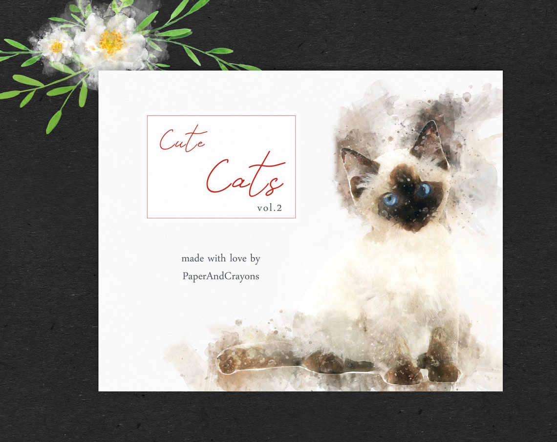 Cat Clipart Cute Cats Watercolor Clip Art Vol. II Kitten - Etsy