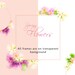 Spring Flowers Frames Clipart Set Watercolor Floral Clip - Etsy
