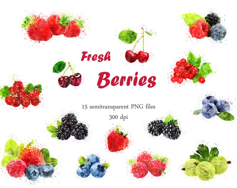 Fruit Clipart Fresh Berries Watercolor Clip Art Fruits - Etsy