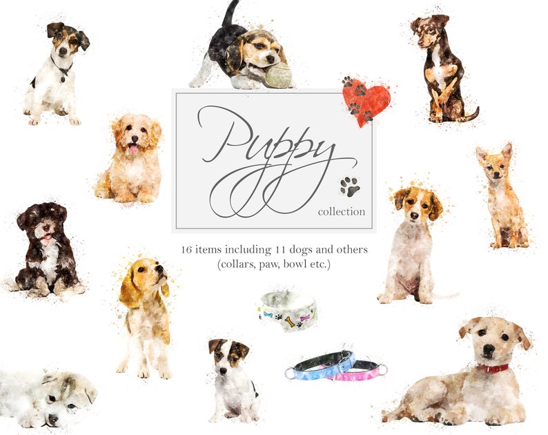 Cute Watercolor Puppies Dog Clipart Puppy Clip Art Animal | Etsy