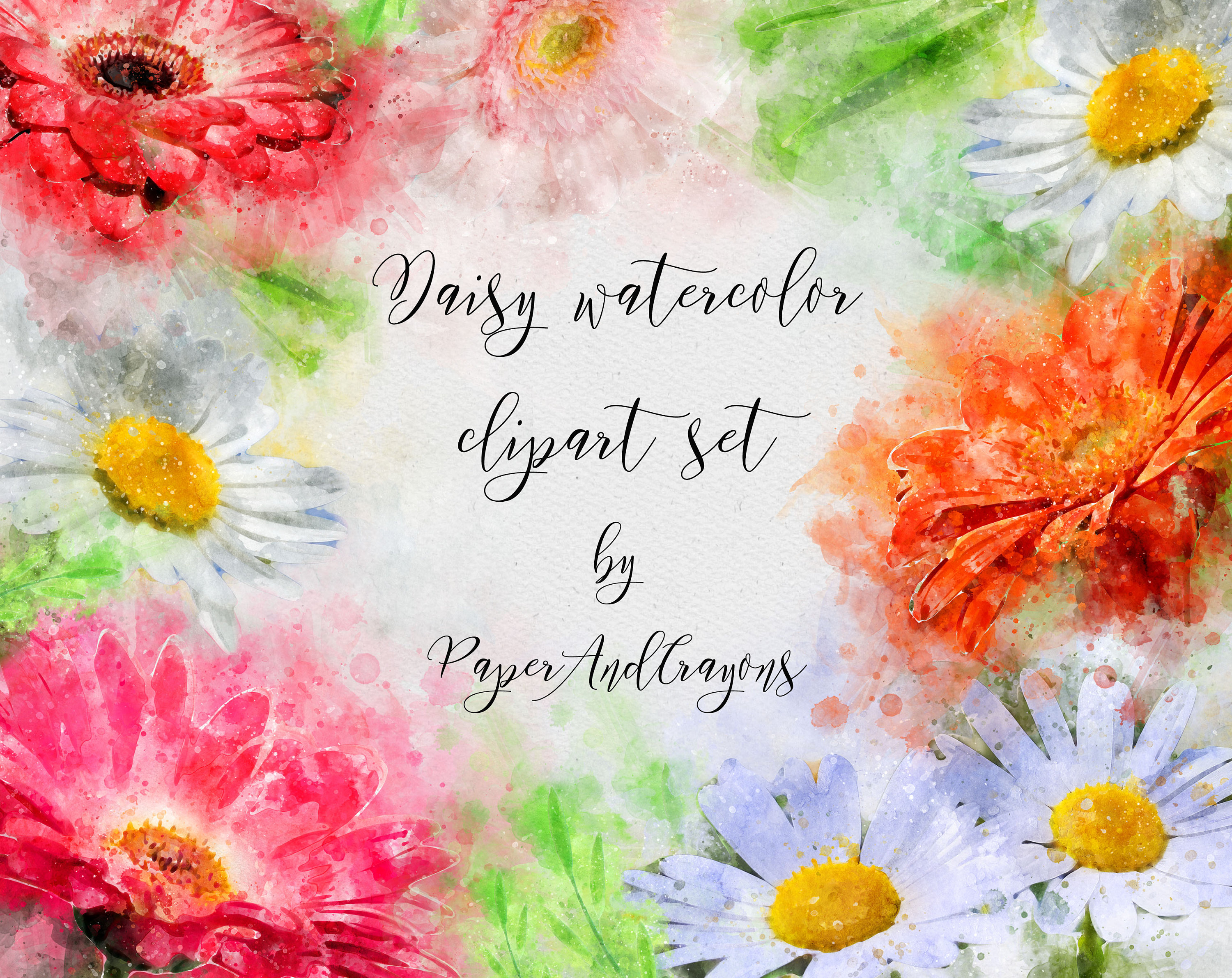 Daisy Floral Clipart Summer Watercolor Clipart Flower Clip | Etsy