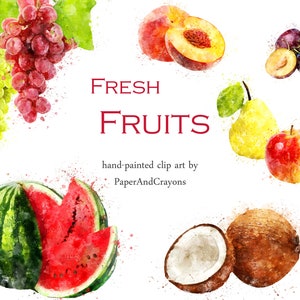 Fruit Clipart, Tropical Fruits Watercolor Clip Art, Fresh Fruits ...