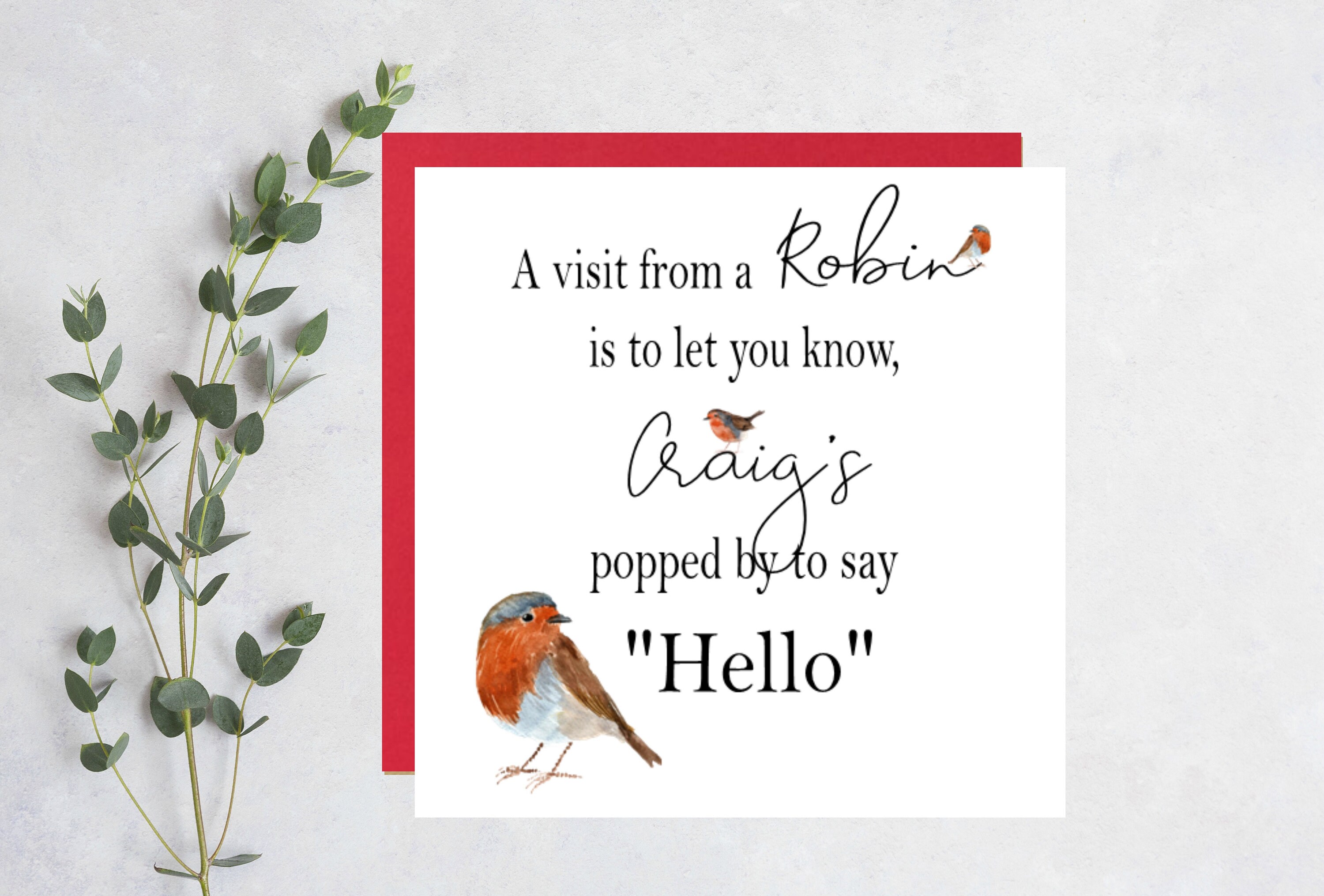 In Memory Of Robin Greeting Card A Visit From a Robin | Etsy UK