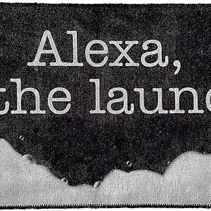 ALEXA -soft Woven Rugs, 24x56 Laundry Room Rug, Funny Non Skid Rubber ...