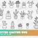 Potted Cactus SVG, Cactus SVG Bundle, Cactus Cricut, Cactus Clipart ...