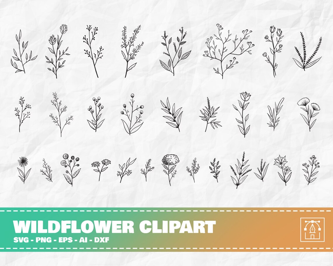 Wildflower Clipart Wildflower Bundle Wildflower Svg Floral | Etsy