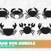 Crab SVG Bundle, Summer Clipart, Crab Clipart, Crab PNG Bundle, Beach ...