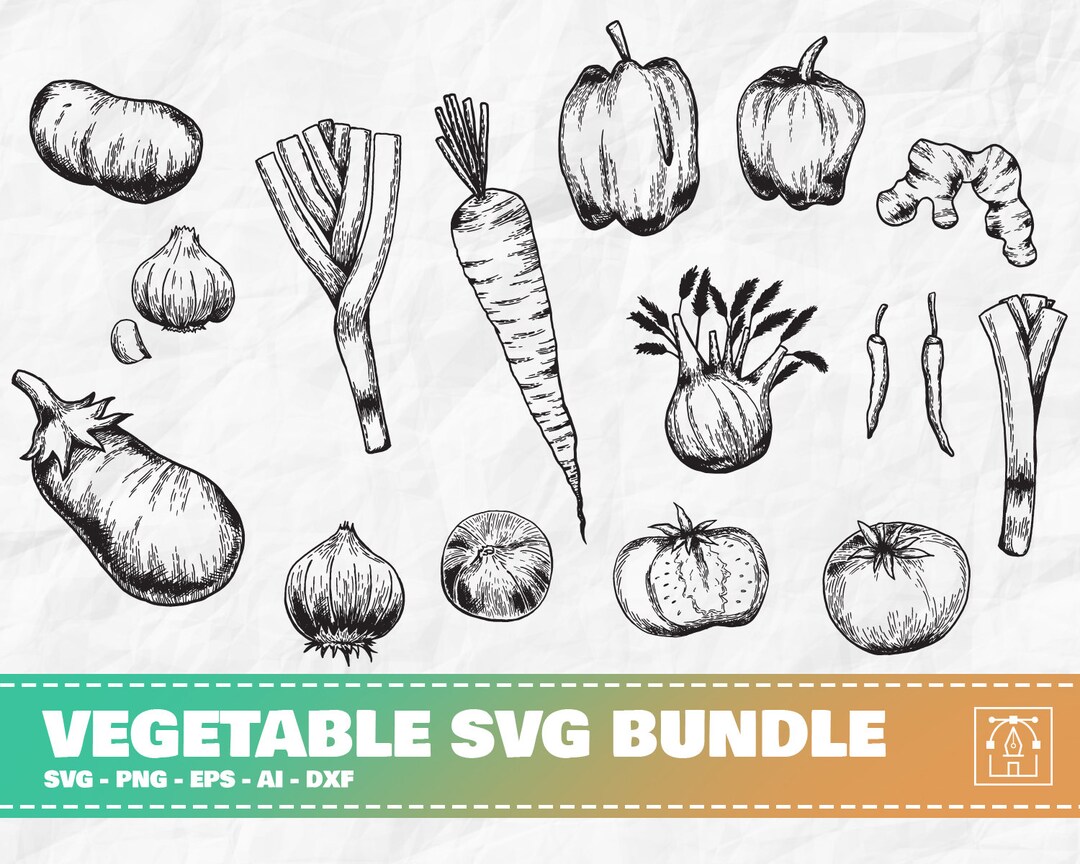 Vegetable SVG Bundle, Vegetable Handdrawn, Vegetable Clipart, Aromatic ...