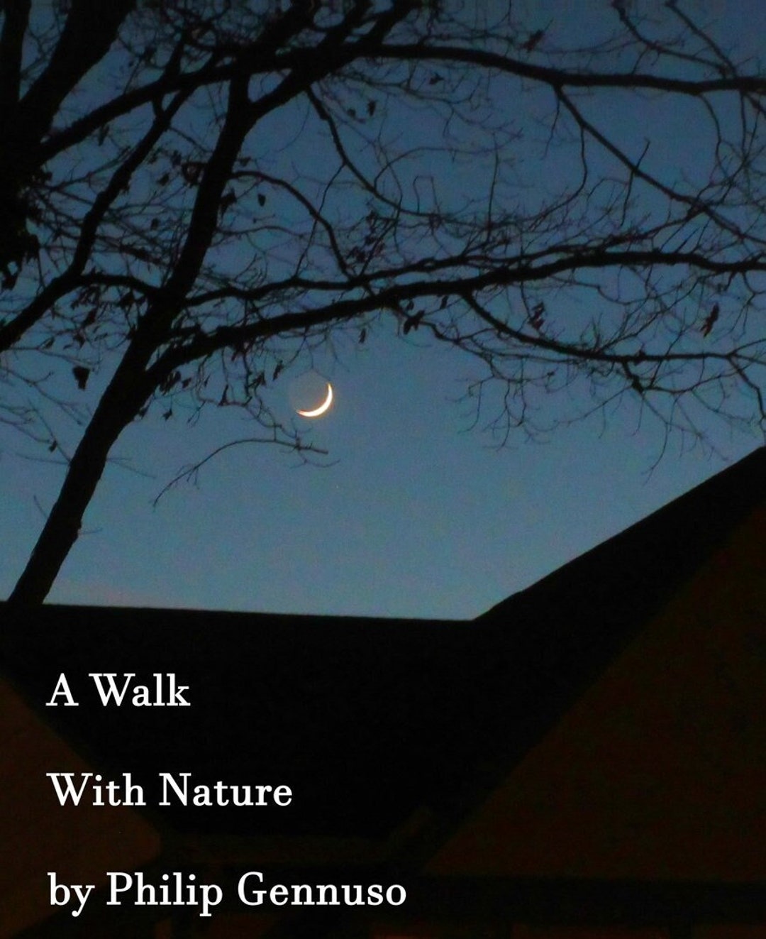 NEW A Walk With Nature ebook photography artwork poetry haiku - Etsy