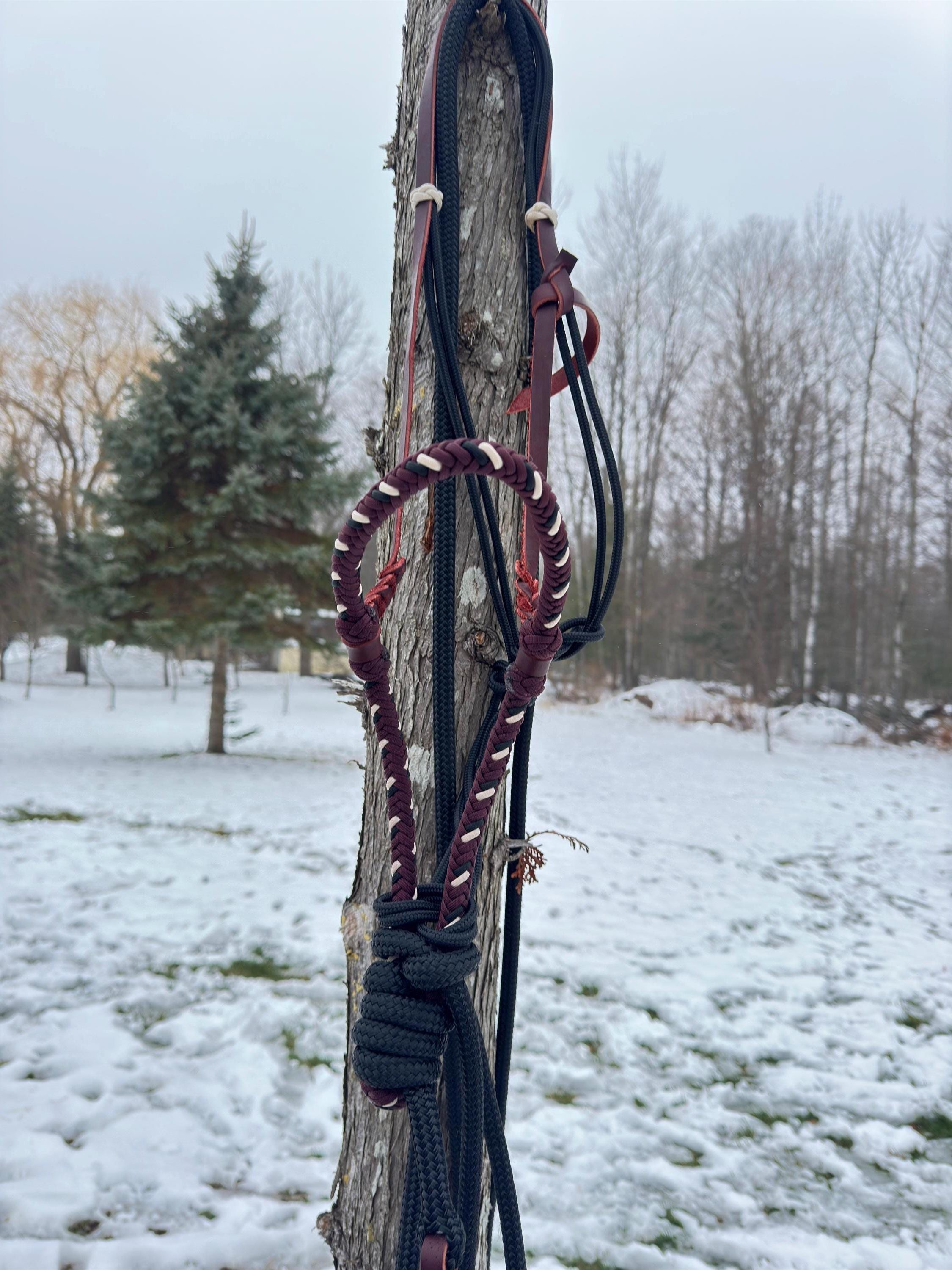 Loping Hackamore, Bitless Bridle, Bosal - Etsy