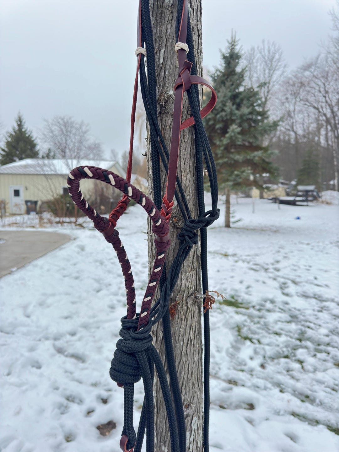 Loping Hackamore, Bitless Bridle, Bosal - Etsy