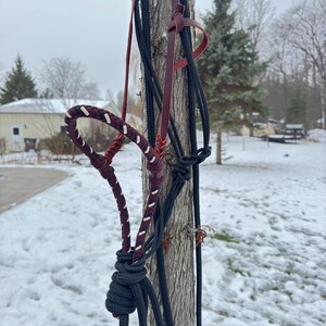 Loping Hackamore, Bitless Bridle, Bosal - Etsy