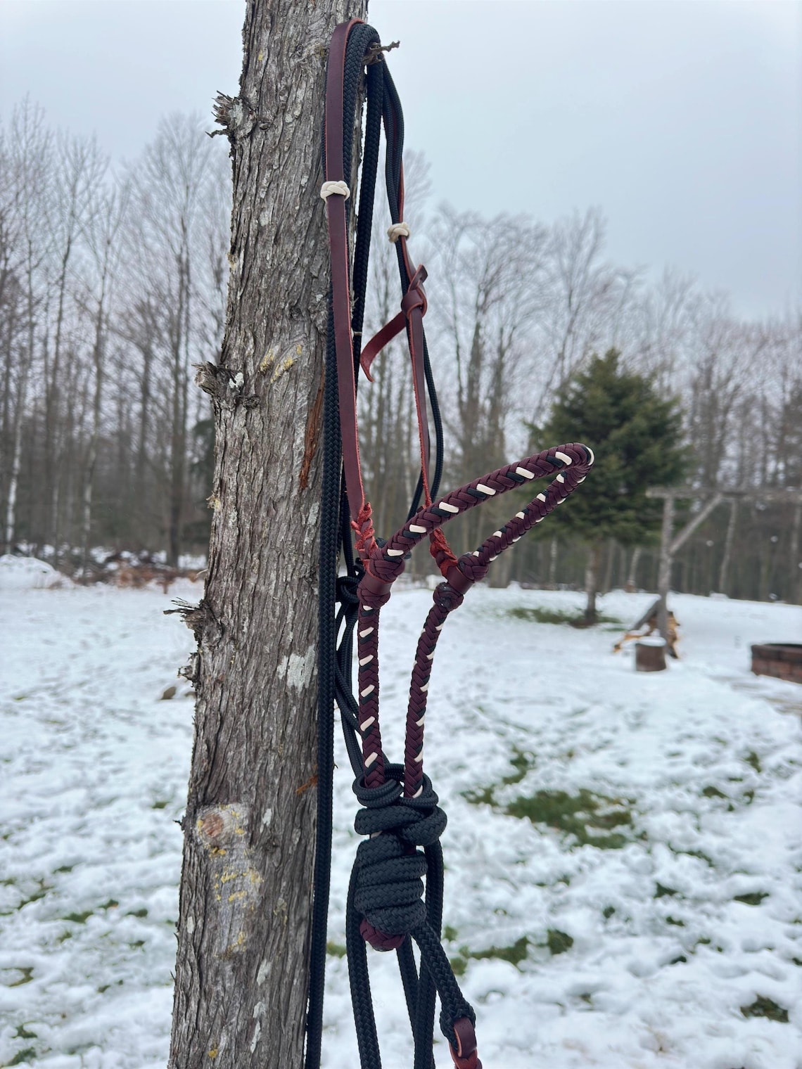 Loping Hackamore, Bitless Bridle, Bosal - Etsy