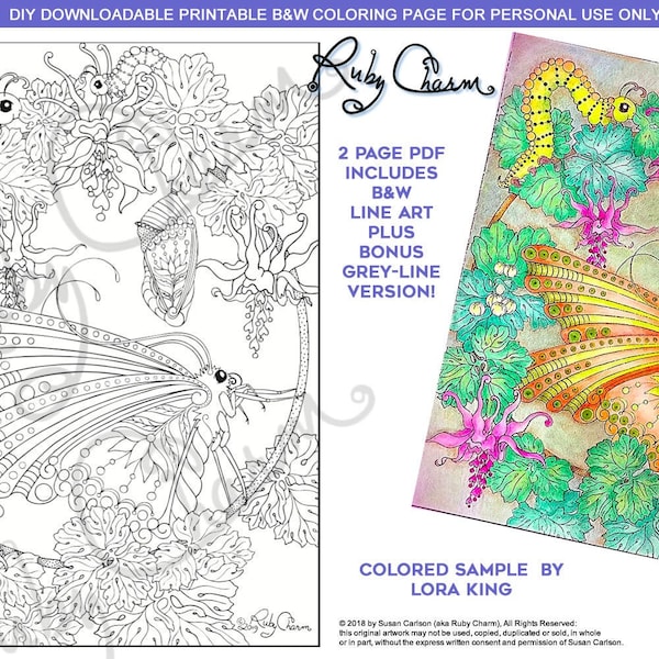 Caterpillar to Butterfly Coloring Page - Etsy