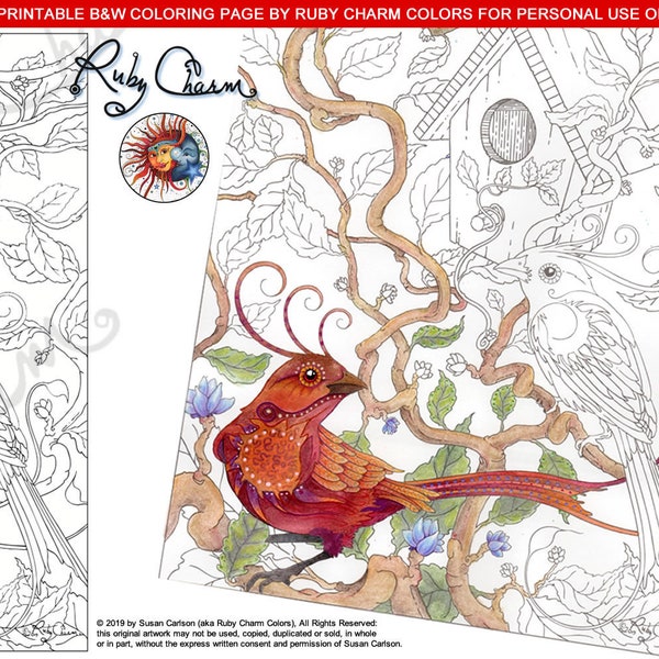 Birdhouse Coloring Page - Etsy