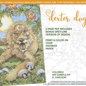 dexter's lab coloring book