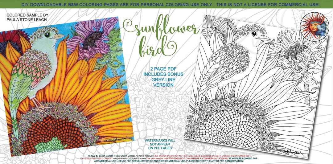 Sunflower Bird: Downloadable 2-page PDF, Coloring Page, Print, Color ...