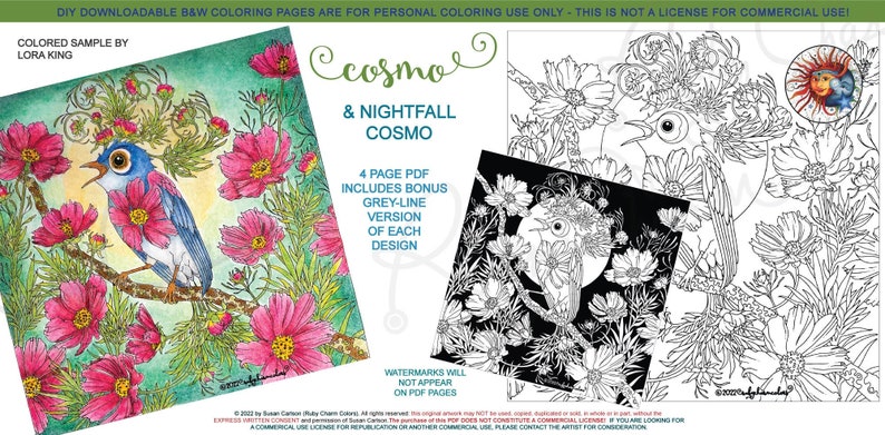 Cosmo: Downloadable 4-page PDF Coloring Set Print Color - Etsy