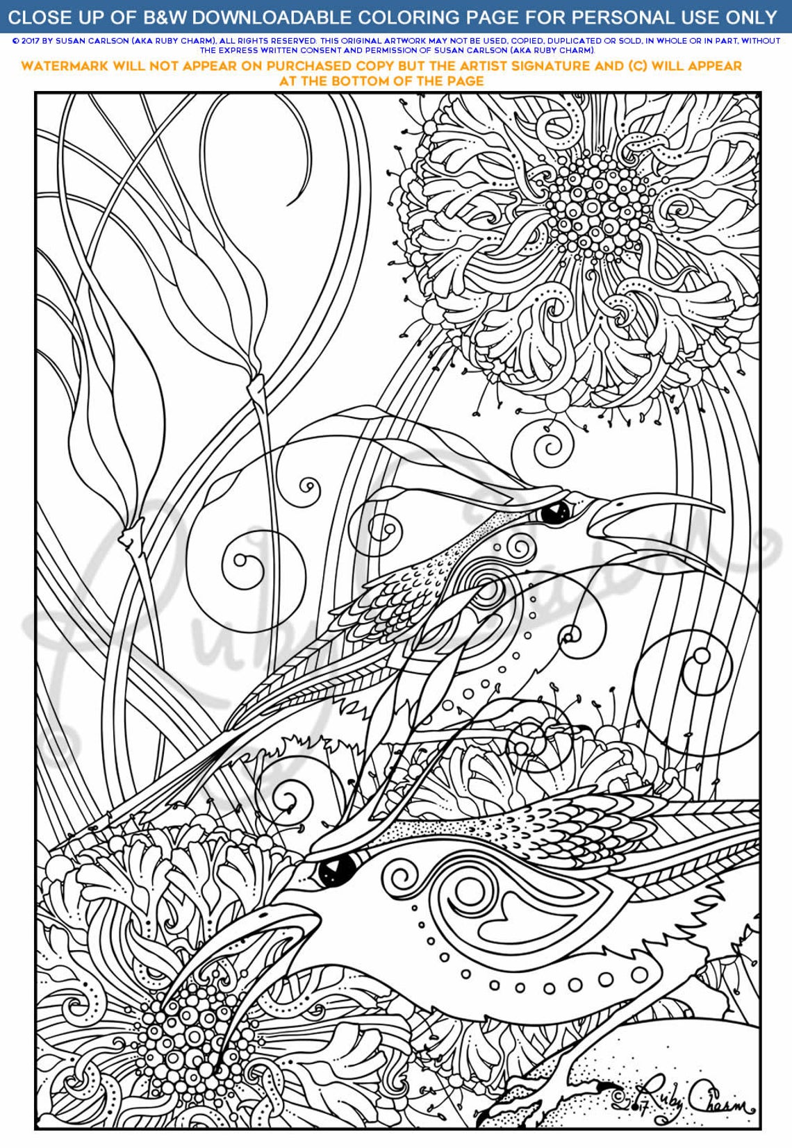 SUN BIRDS downloadable printable Adult Coloring page Ruby | Etsy