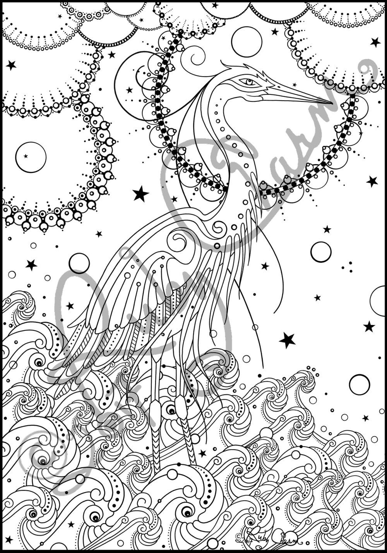 BIRDS BUNDLE: Download Print and Color Birds Including a - Etsy