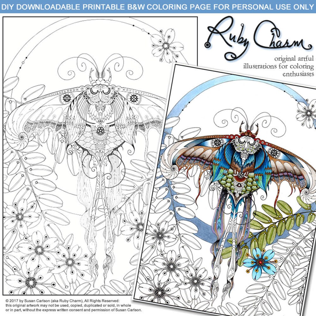 PDF LUNA MOTH Downloadable Printable Adult Coloring Page, Ruby Charm ...