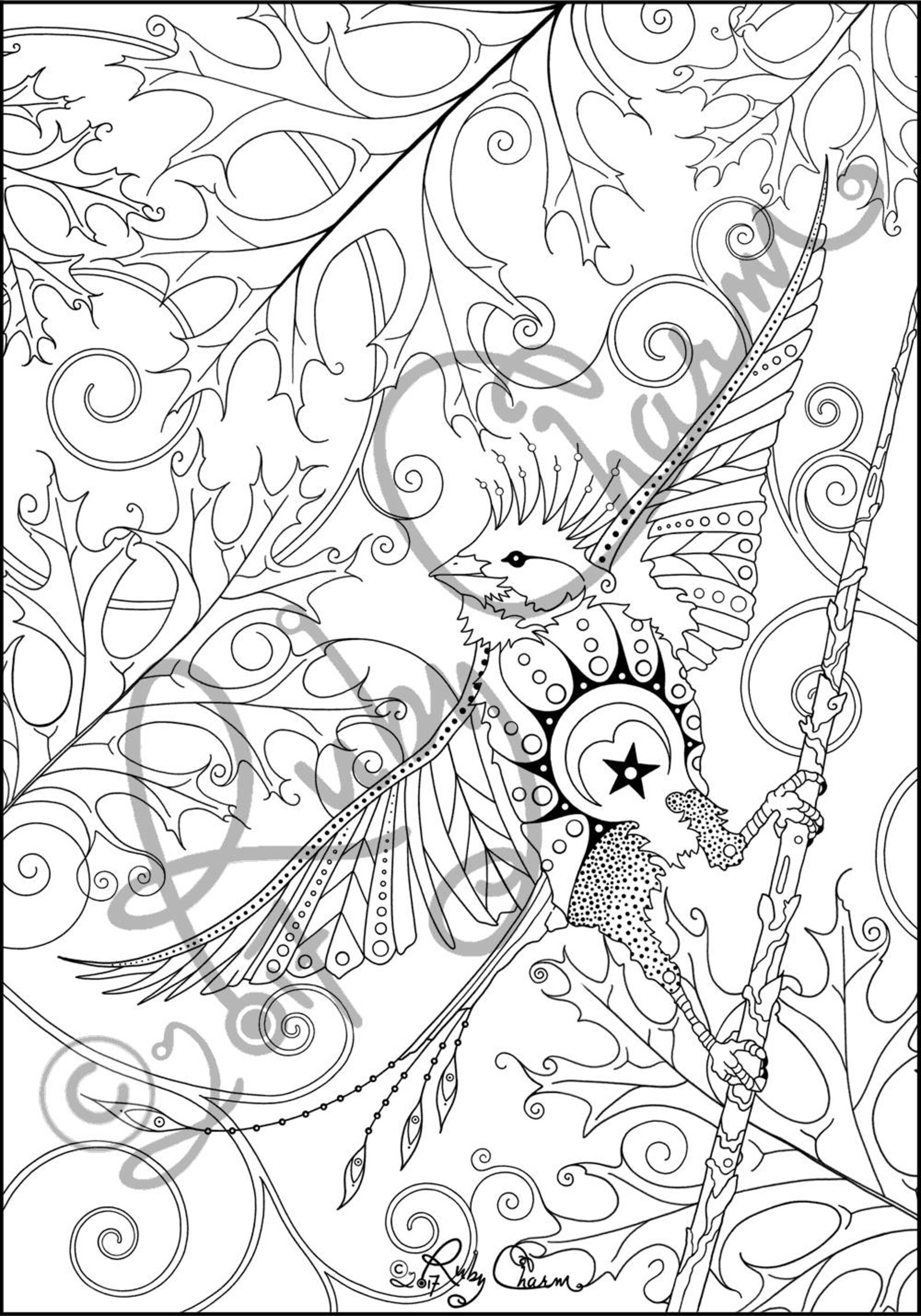 BIRDS BUNDLE: Download, Print, and Color Birds Including a Heron ...