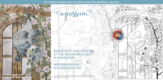 Opossum: downloadable printable PDF coloring page by Ruby | Etsy