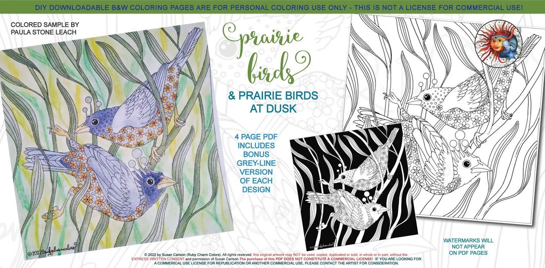 Prairie Birds: Downloadable 4-page PDF Coloring Set, Print, Color ...