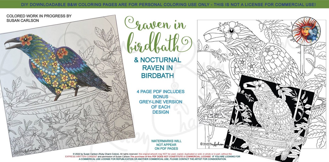 Raven in Birdbath: Downloadable 4-page PDF Coloring Set, Print, Color ...