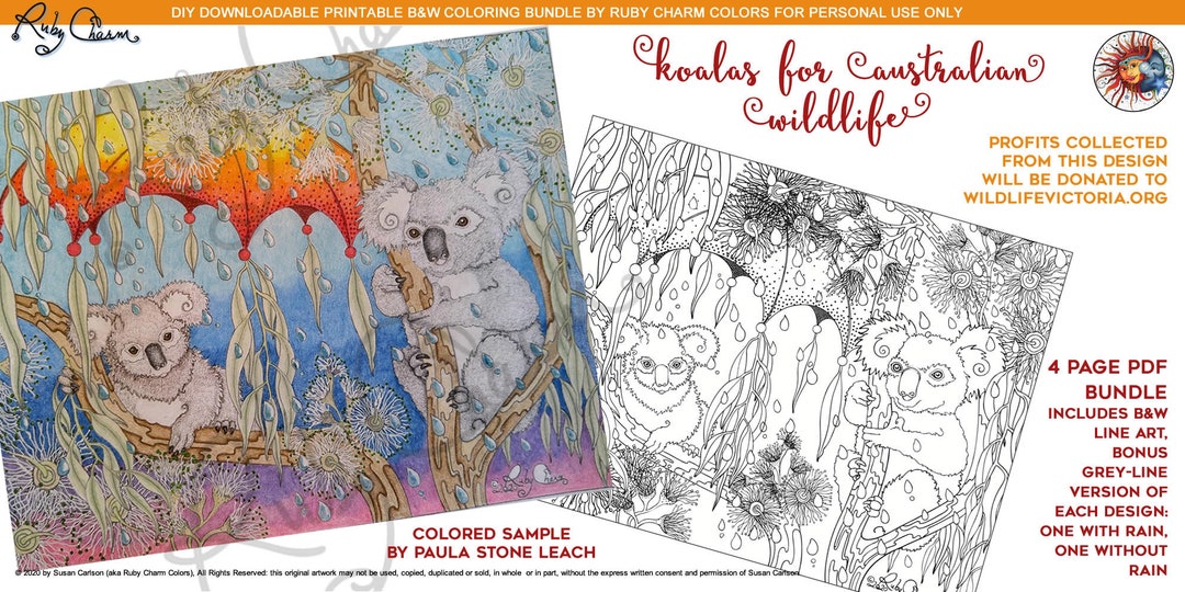 Koalas for Australian Wildlife: Downloadable Printable PDF for Coloring ...