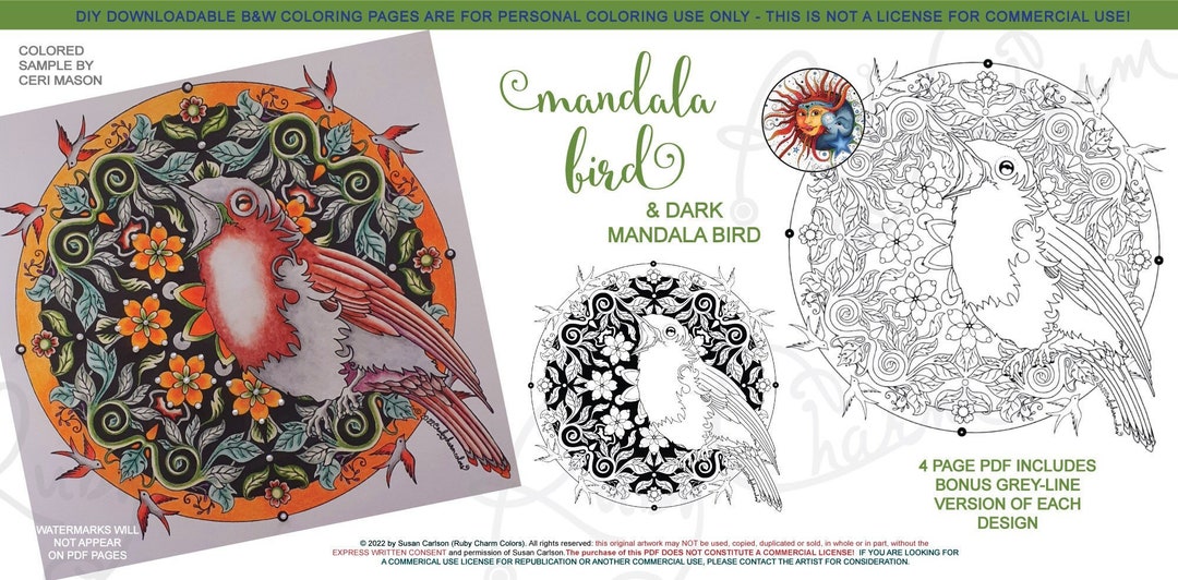 Mandala Bird: Downloadable 4-page PDF, Coloring Page, Print, Color ...