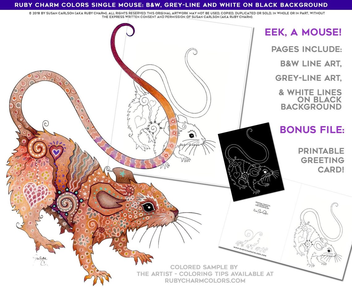 Mouse PDF: Downloadable, Printable Adult Coloring Page With BONUS ...