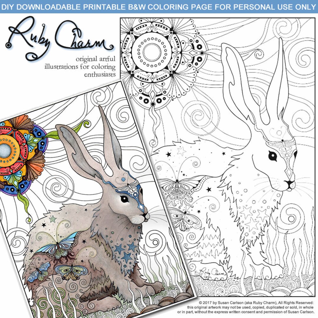 BUTTERFLY RABBIT Download Printable PDF, Ruby Charmcolors, Coloring ...