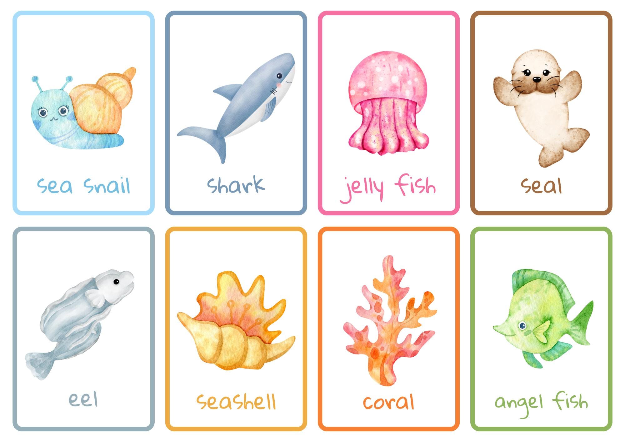 Sea Creature Flash Cards for Kids - Educational Ocean Animal Learning ...