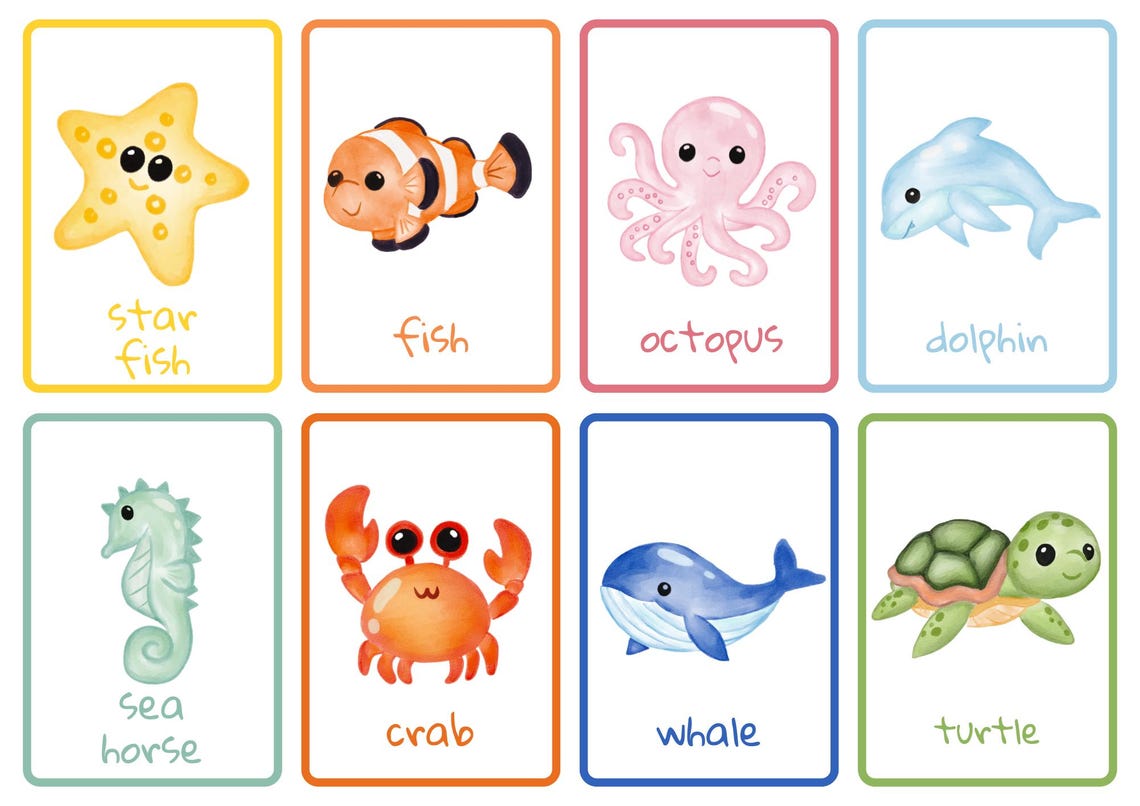 Sea Creature Flash Cards for Kids - Educational Ocean Animal Learning ...