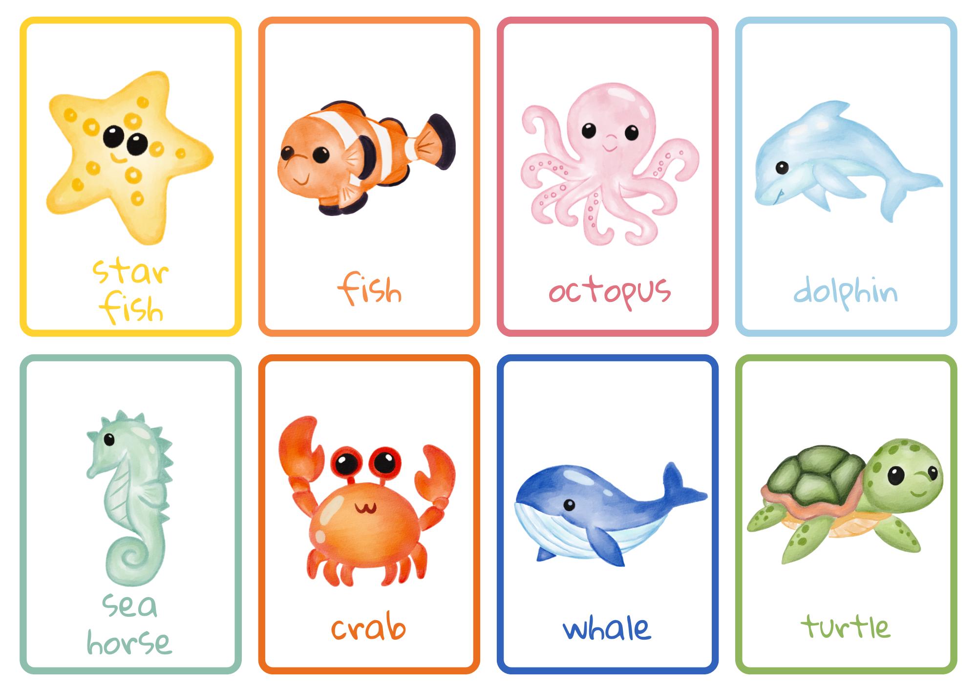 Sea Creature Flash Cards for Kids - Educational Ocean Animal Learning ...