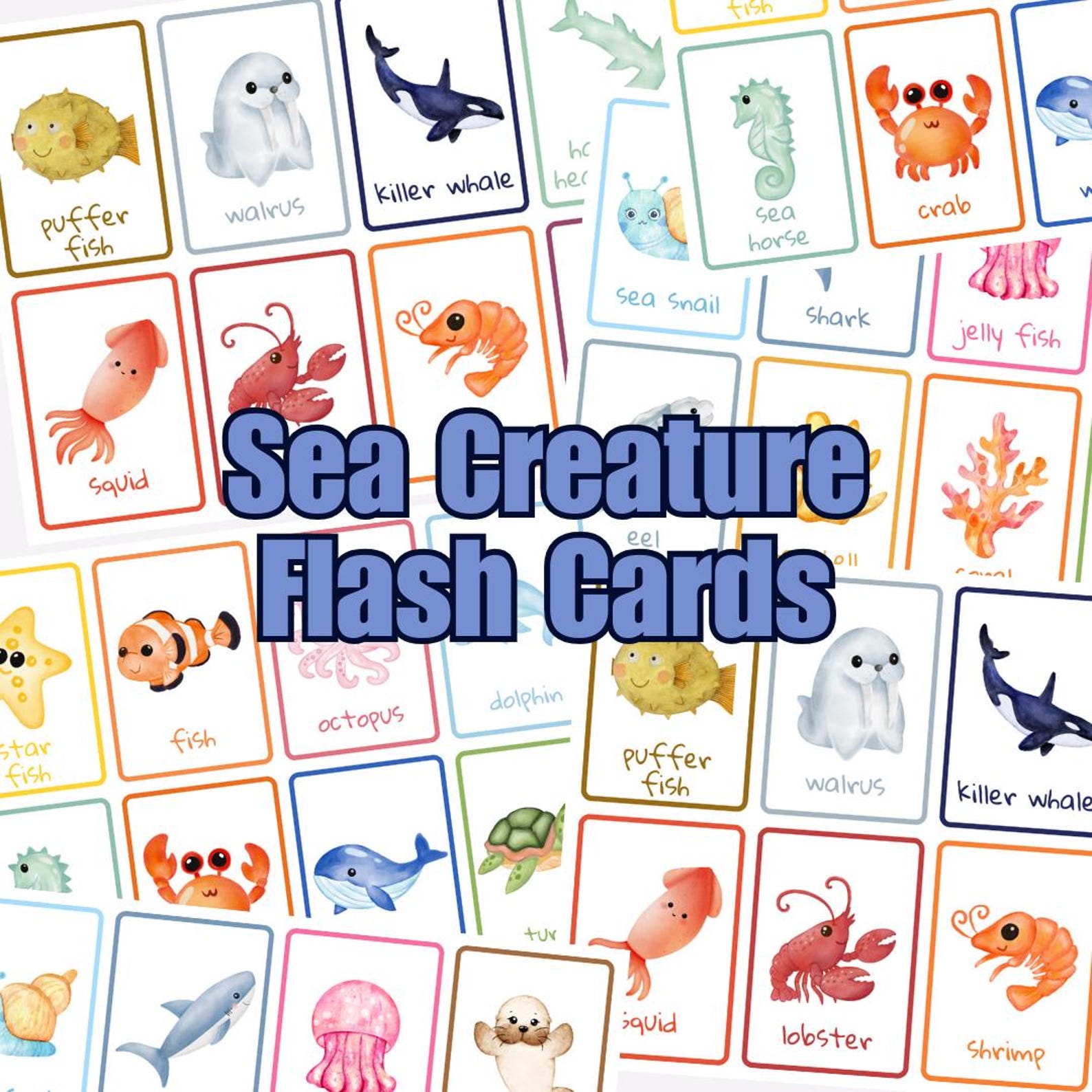 Sea Creature Flash Cards for Kids - Educational Ocean Animal Learning ...