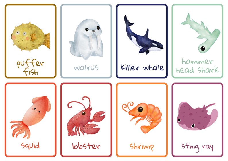Sea Creature Flash Cards for Kids - Educational Ocean Animal Learning ...