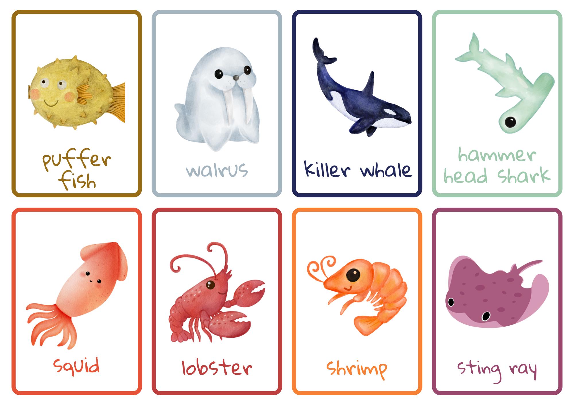 Sea Creature Flash Cards for Kids - Educational Ocean Animal Learning ...