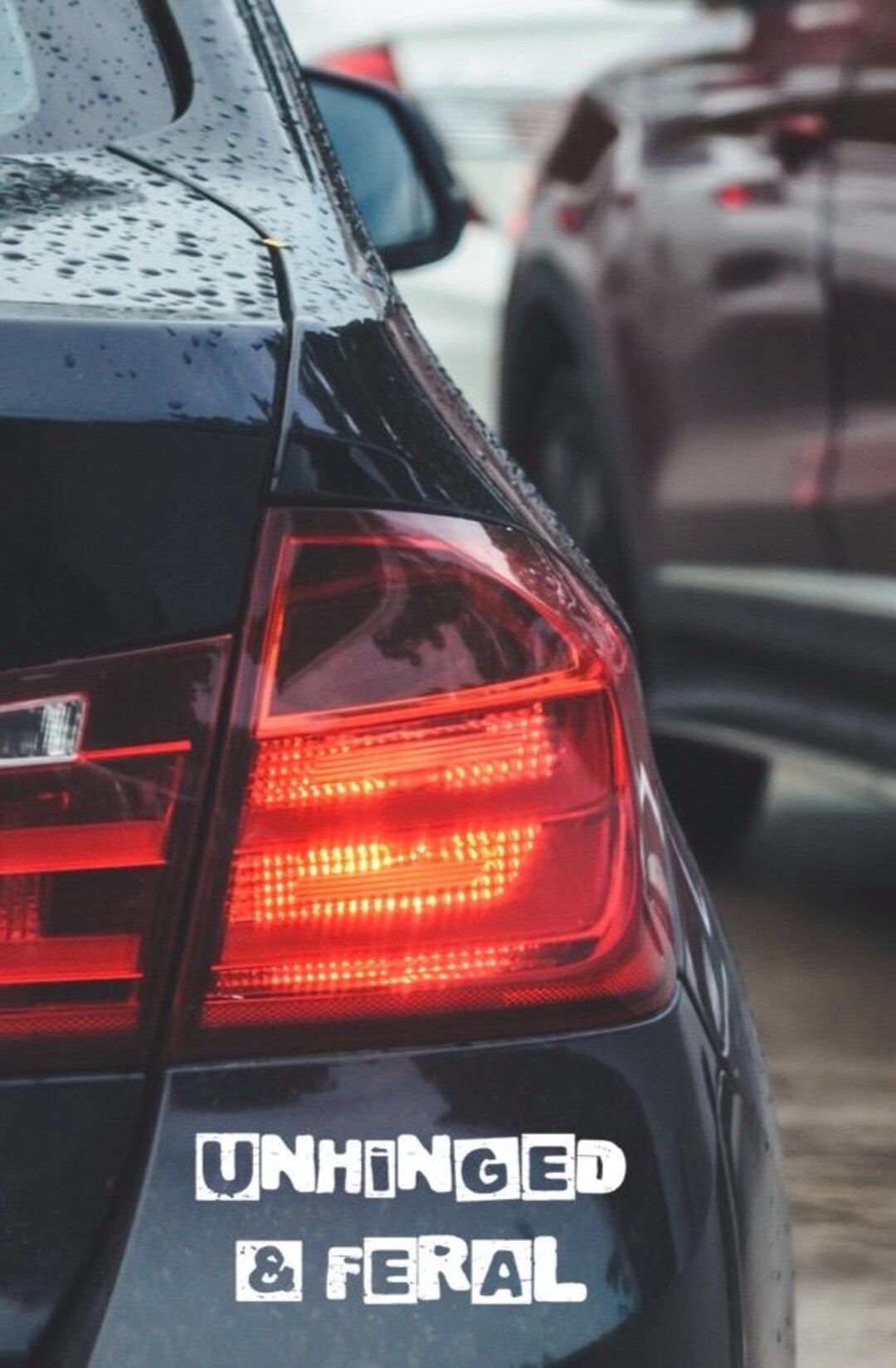 Unhinged & Feral Vinyl Car Bumper Sticker - Etsy