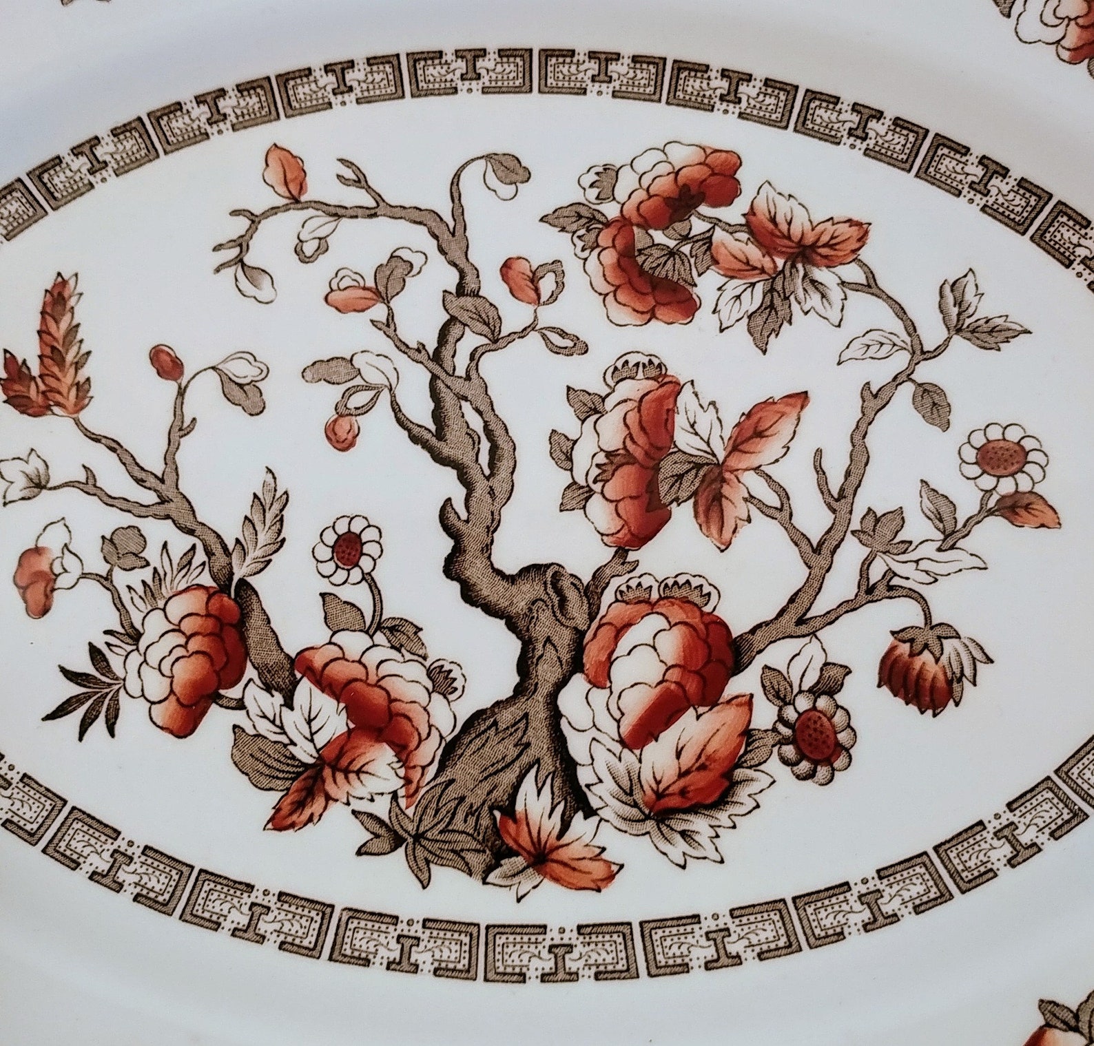 Myott Indian Tree Brown Oval Serving Platter; Vintage Myott ...