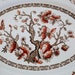 Myott Indian Tree Brown Oval Serving Platter Vintage Myott ...