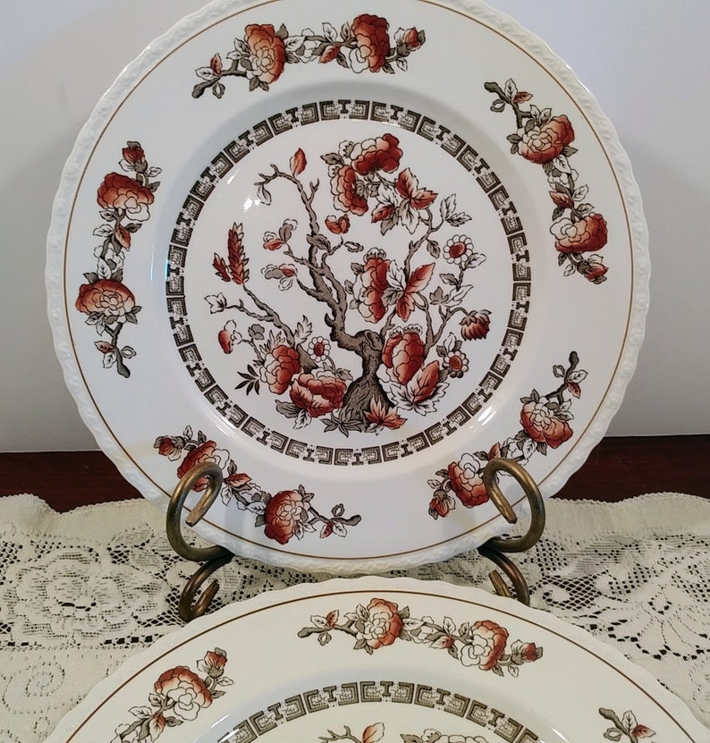 Myott Indian Tree Brown Pattern Dinner Plates Set of 2 | Etsy