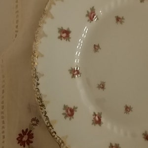 Victoria Austria Rosebuds and Gold Filigree Plate - Set of 2; Vintage ...